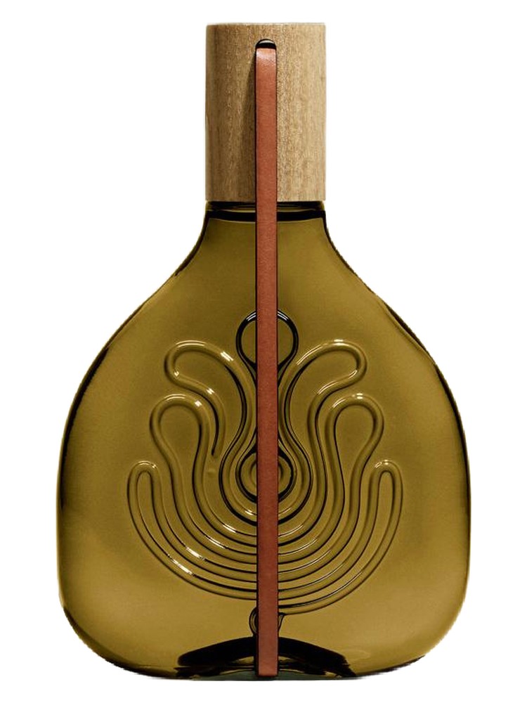 Agua Brava Antonio Puig perfume - a new fragrance for women and men 2025