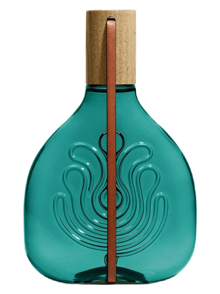 Agua Mediterranea Antonio Puig perfume - a new fragrance for women and ...