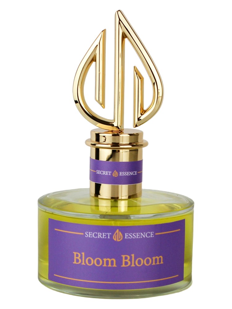 Bloom Bloom Secret Essence perfume - a fragrance for women and men 2023