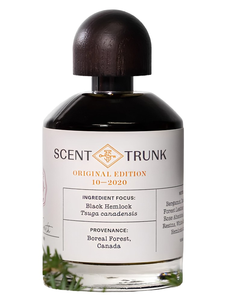 Black Hemlock Scent Trunk perfume - a fragrance for women and men 2020