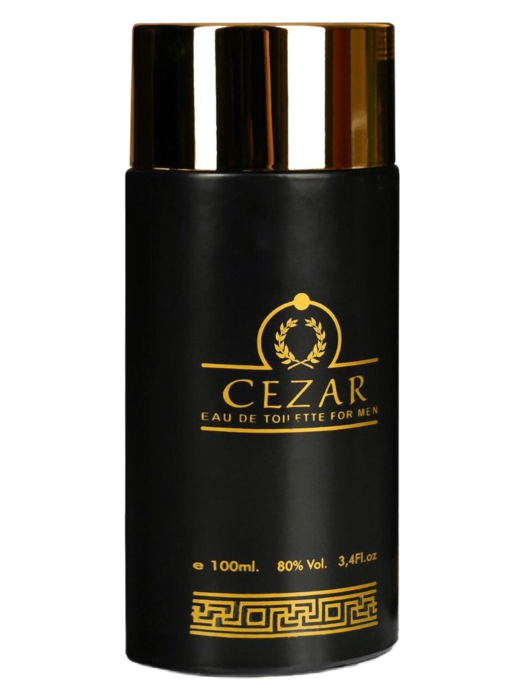 CEZAR Parfums Guy Alari cologne - a fragrance for men