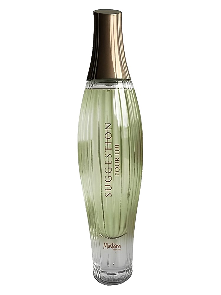 Suggestion pour Lui Montana cologne - a fragrance for men