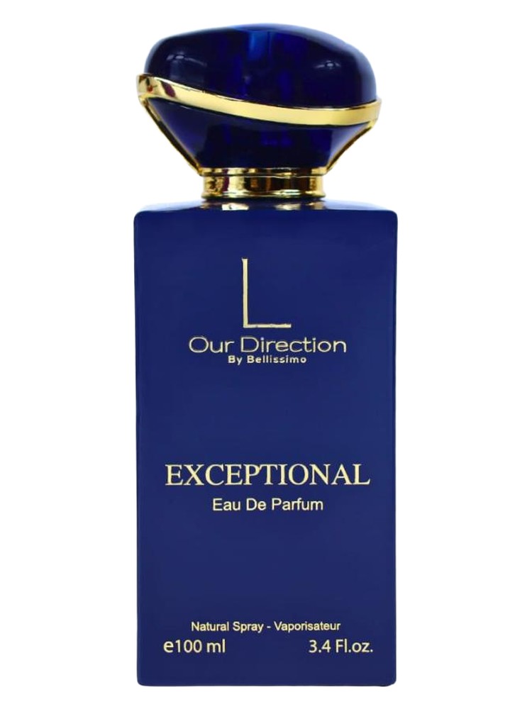 Our Direction Exceptional Bellissimo Perfumes cologne - a fragrance for ...