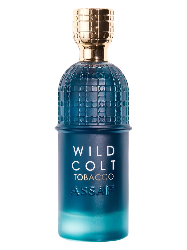 WILD COLT TOBACCO Assaf perfume - a new fragrance for women and men 2024