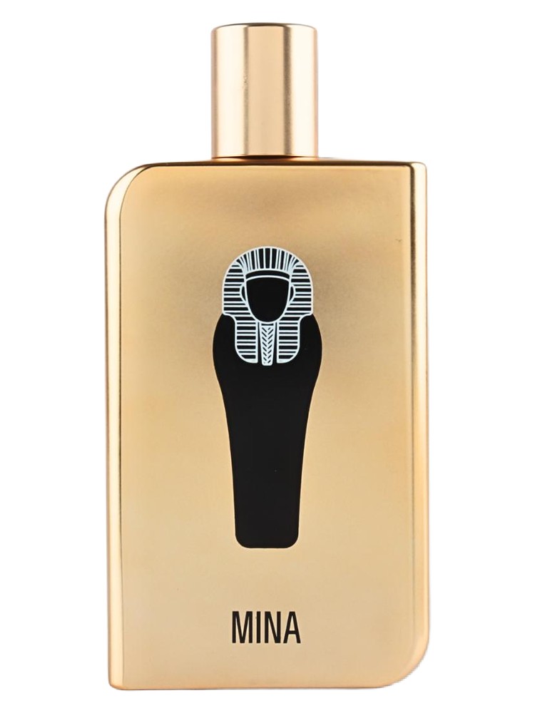 Mina Samam perfume - a new fragrance for women and men 2025