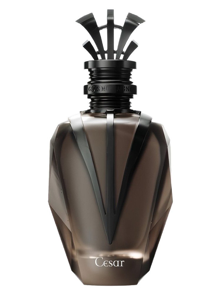 Cesar Gris Montaigne Paris cologne - a new fragrance for men 2025