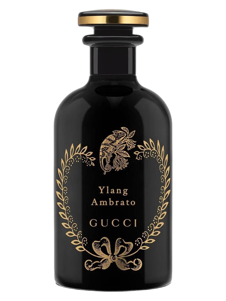 Ylang Ambrato Gucci perfume - a new fragrance for women and men 2025