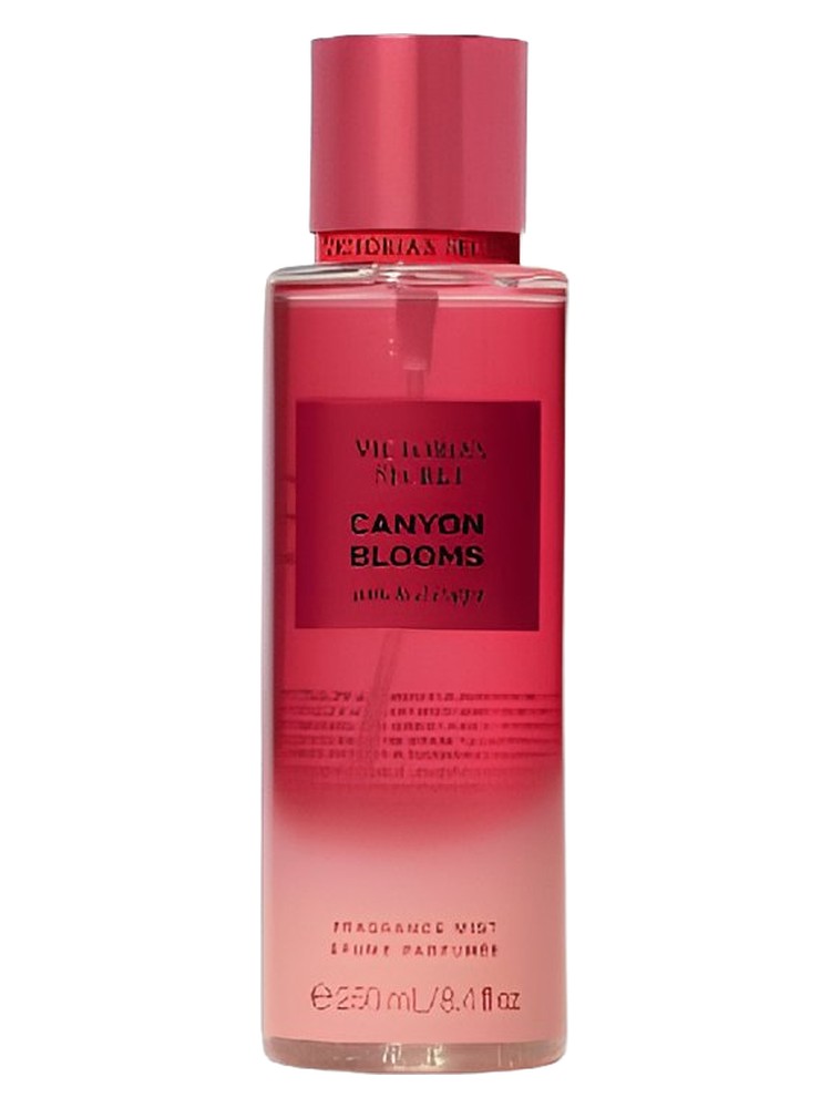 Canyon Blooms Victoria's Secret perfume - a new fragrance for women 2026