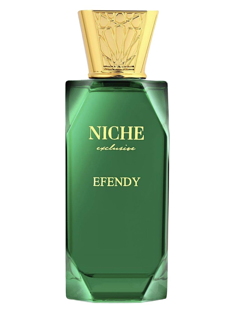 Efendy Niche Exclusive cologne - a new fragrance for men 2025