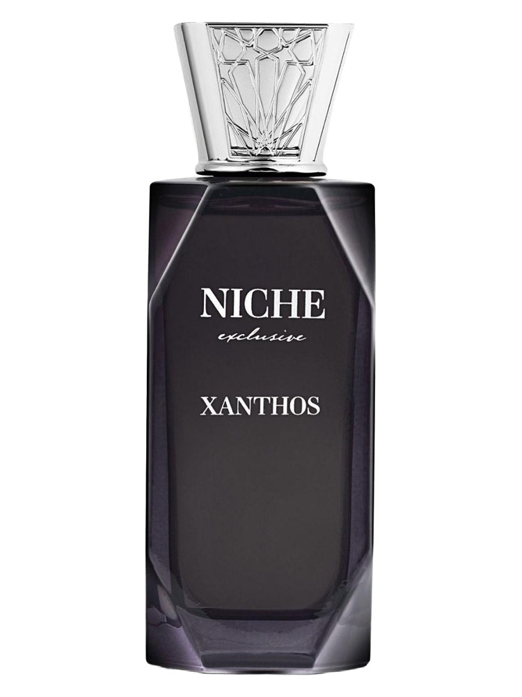 Xanthos Niche Exclusive cologne - a fragrance for men 2021