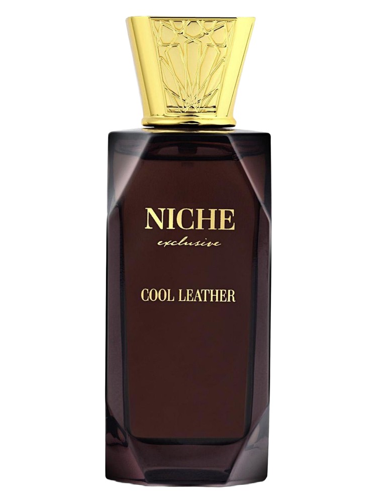 Cool Leather Niche Exclusive cologne - a fragrance for men 2022