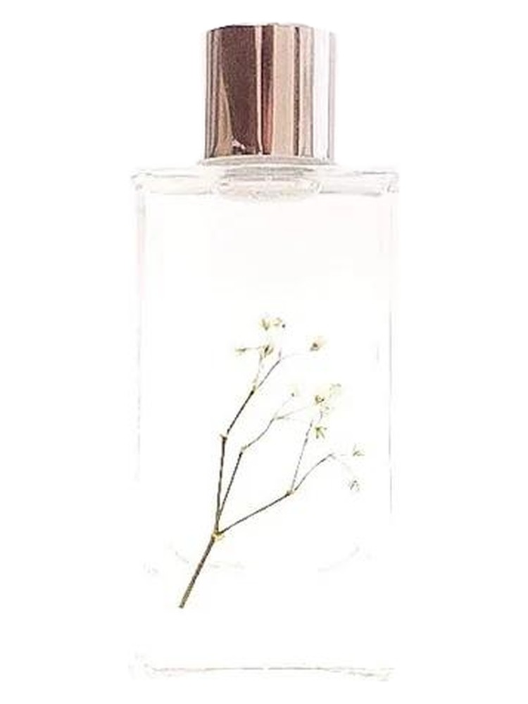 Sophia 1509 perfume - a fragrance for women and men