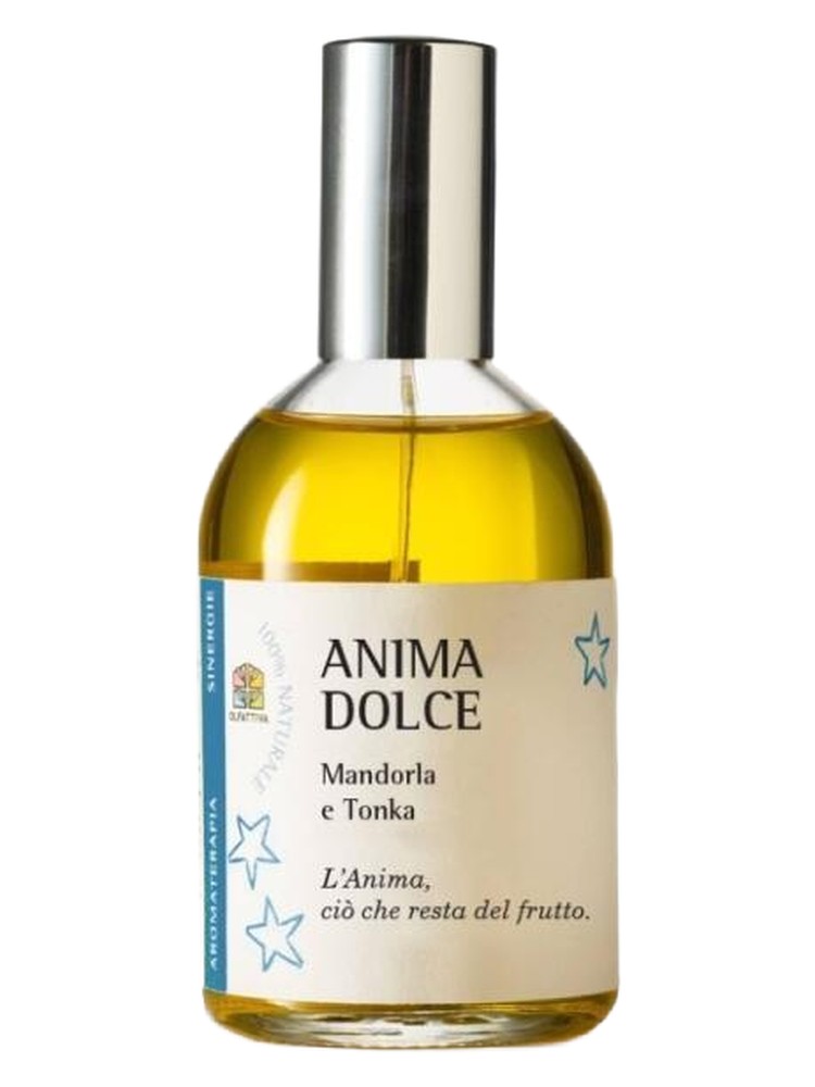 Anima Dolce Olfattiva perfume - a new fragrance for women and men 2025