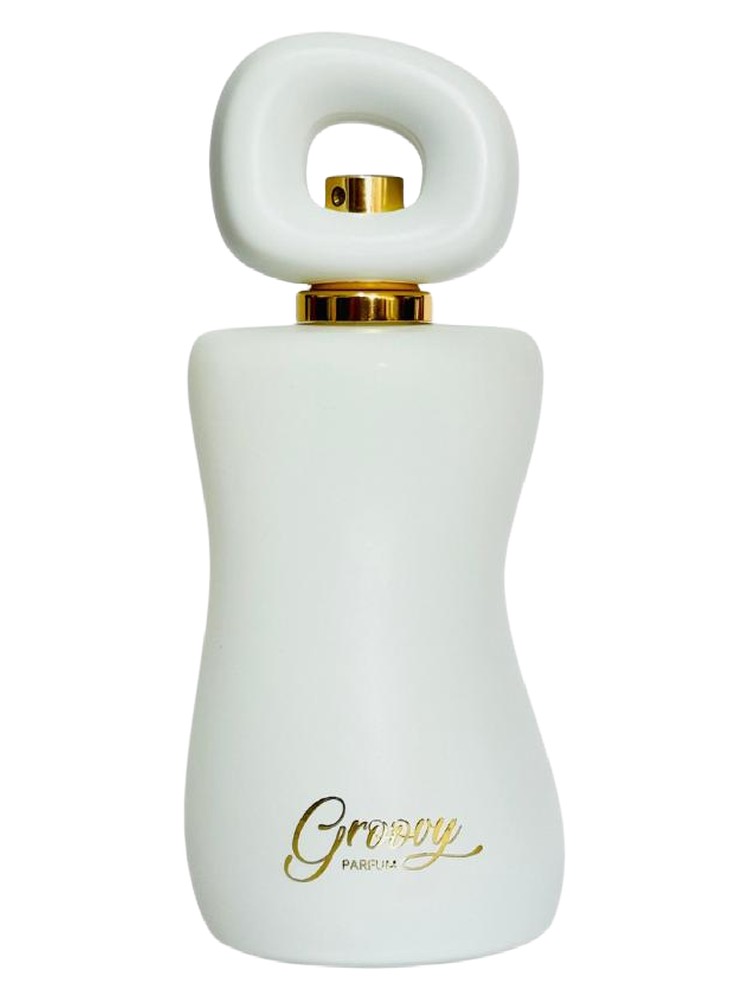 GROOVY ARO-FAC Aroma Factory perfume - a new fragrance for women 2025