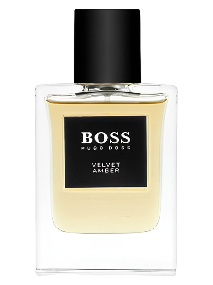 BOSS The Collection Velvet & Amber Hugo Boss cologne - a fragrance for ...