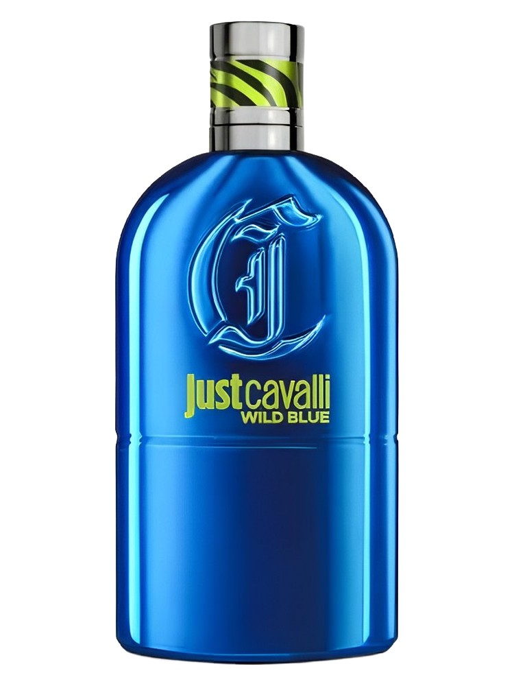Just Cavalli Wild Blue Roberto Cavalli perfume - a new fragrance for ...