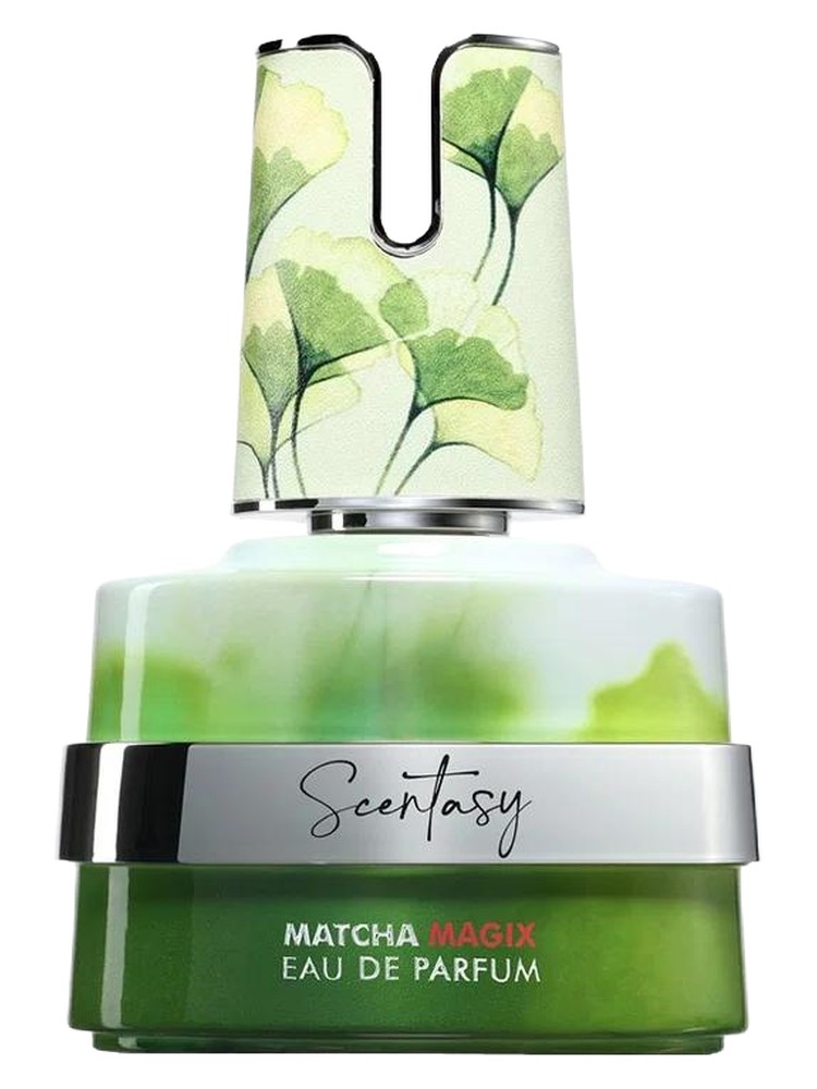 Scentasy Matcha Magix Armaf perfume - a new fragrance for women and men ...