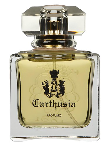 Carthusia Lady Profumo Carthusia perfume - a fragrance for women 2011