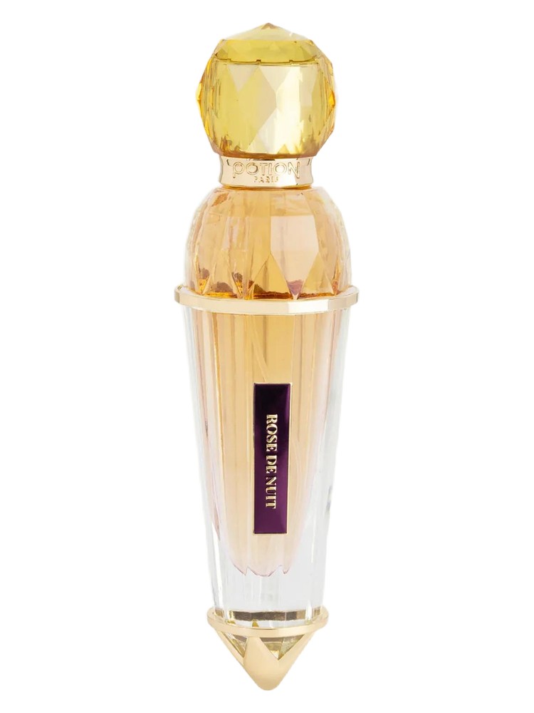 Rose de Nuit Potion Paris perfume - a new fragrance for women and men 2025