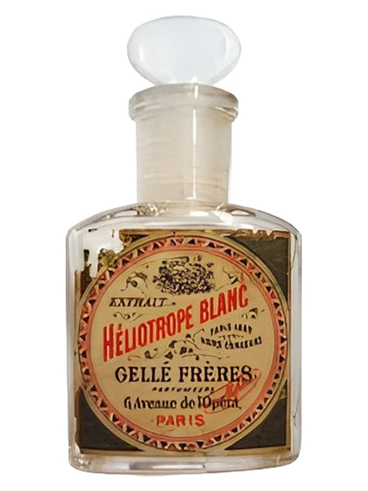 Héliotrope Blanc Gelle Freres perfume - a fragrance for women