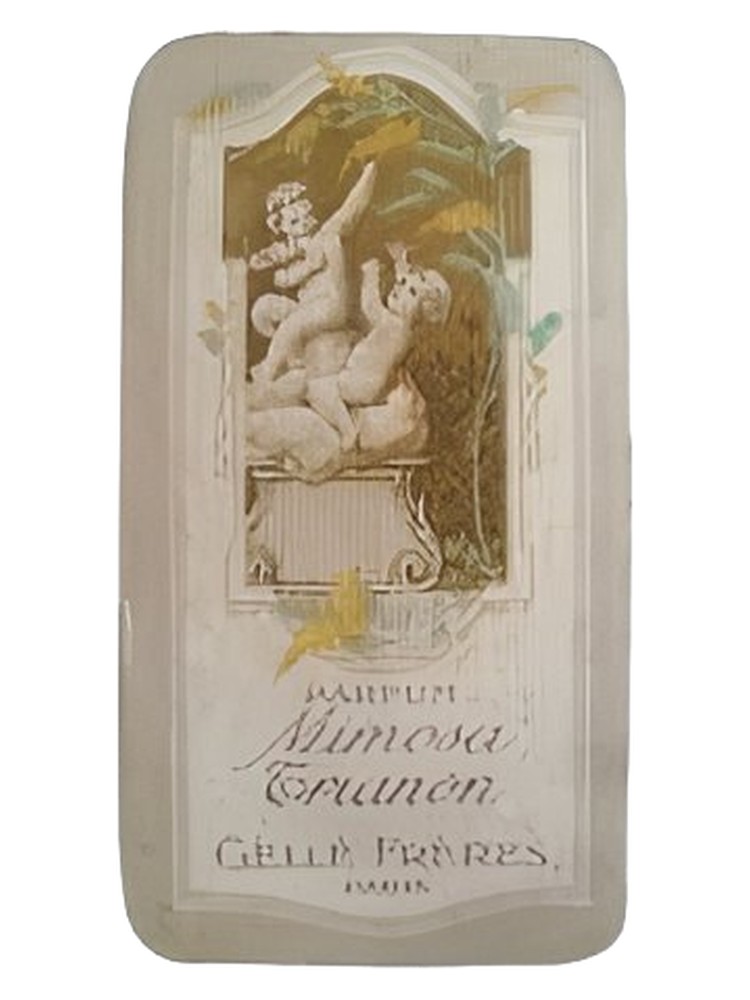 Mimosa Trianon Gelle Freres عطر - a fragrance للنساء 1910