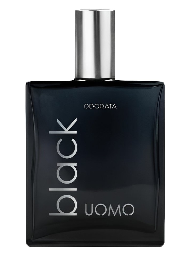 Black Uomo Odorata Colonia - una fragancia para Hombres 2013