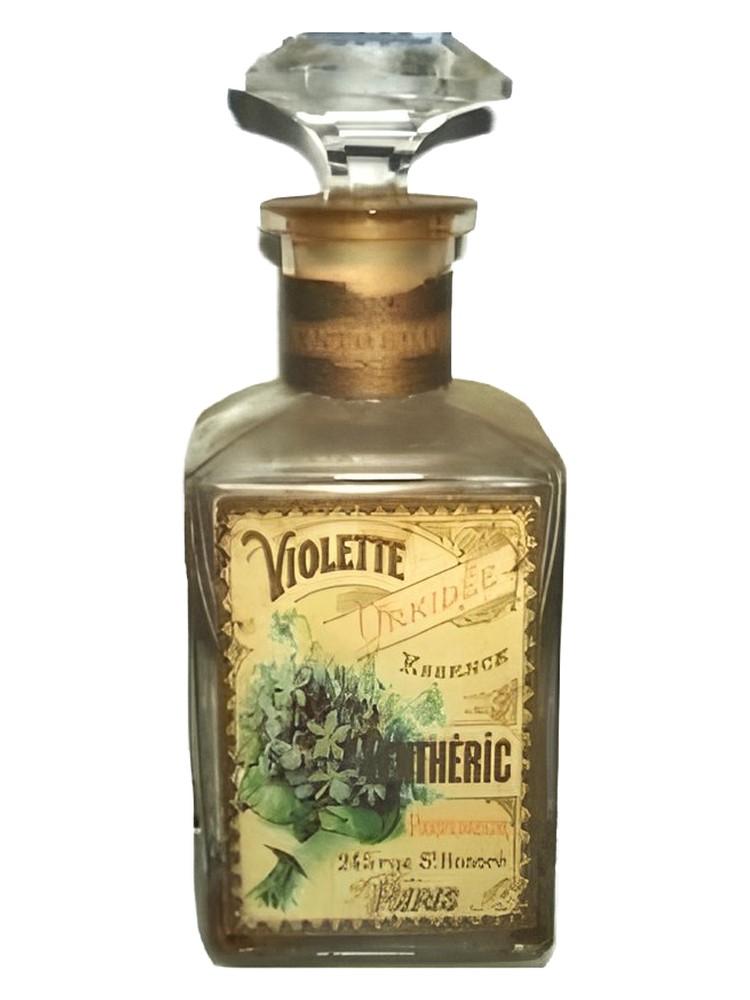 Violette Orkidée Lentheric عطر - a fragrance للنساء 1895