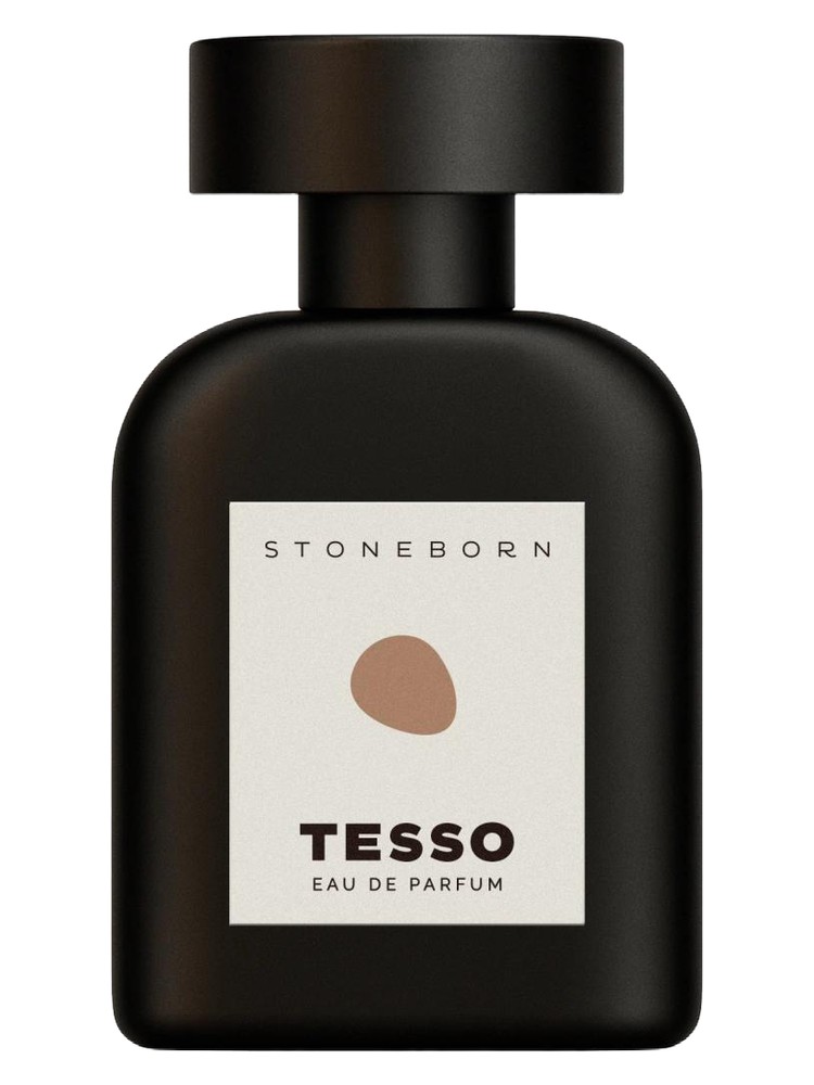 TESSO STONEBORN cologne - a new fragrance for men 2025