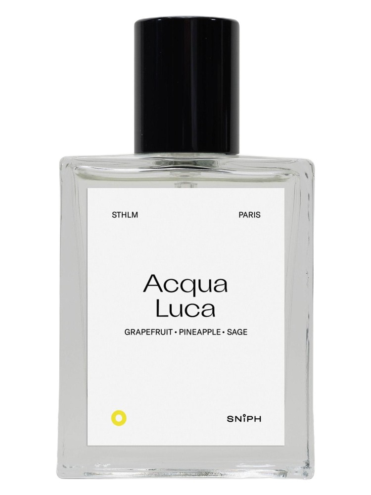 Acqua Luca Sniph perfume - a new fragrance for women and men 2025