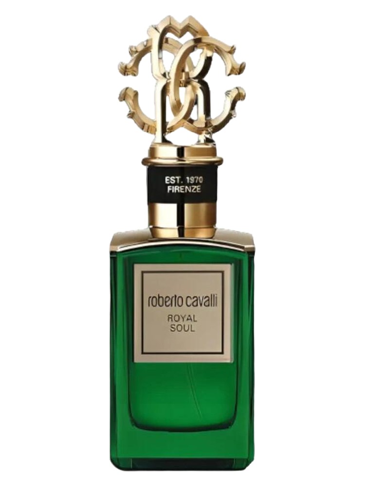 Royal Soul Roberto Cavalli perfume - a new fragrance for women and men 2026