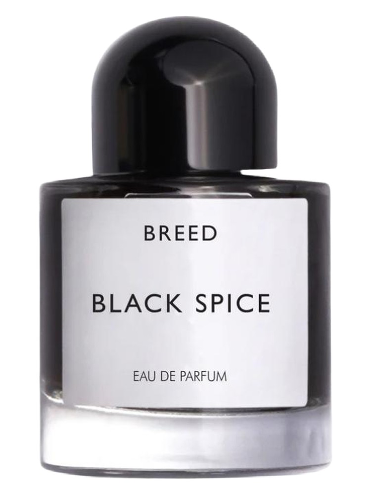 Black Spice AMD Perfumes perfume - a fragrance for women 2017