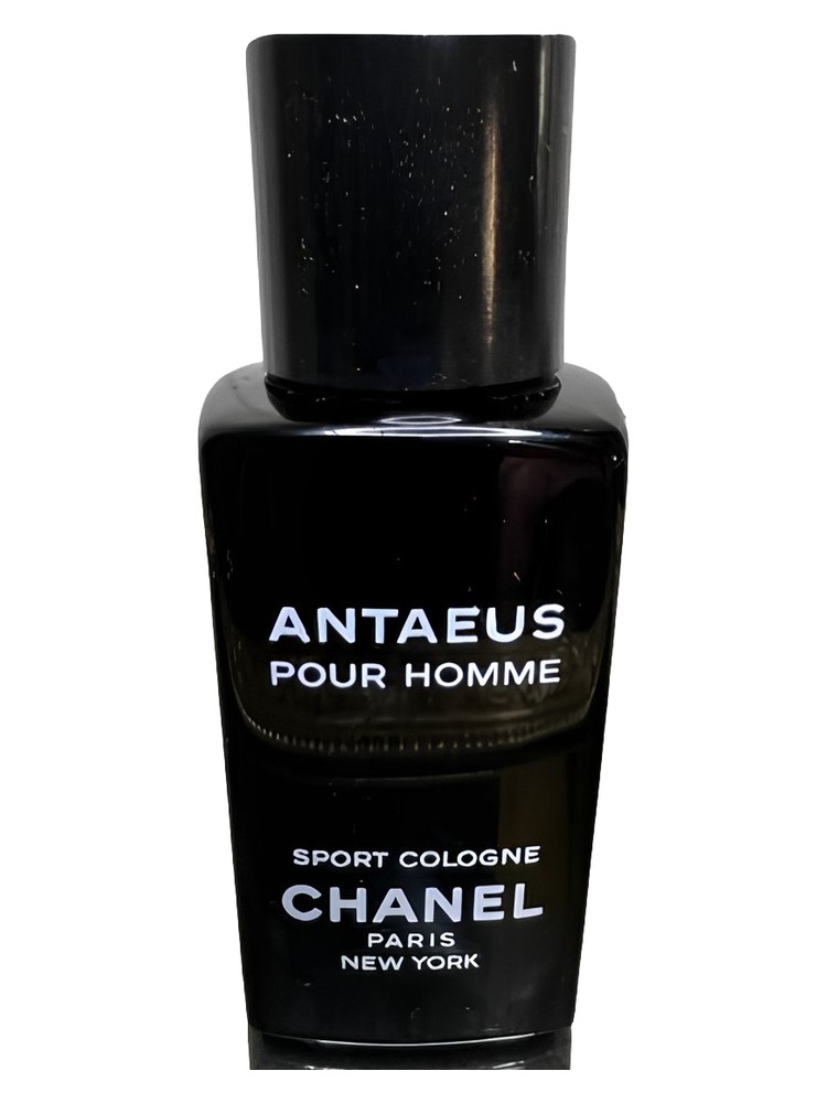 Antaeus Sport Cologne Chanel cologne - a fragrance for men 1985