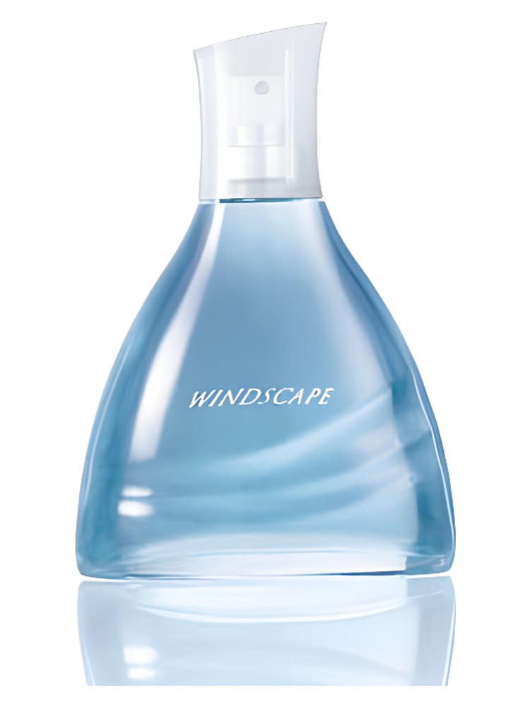 Windscape for Him Avon cologne - a fragrance for men 2010