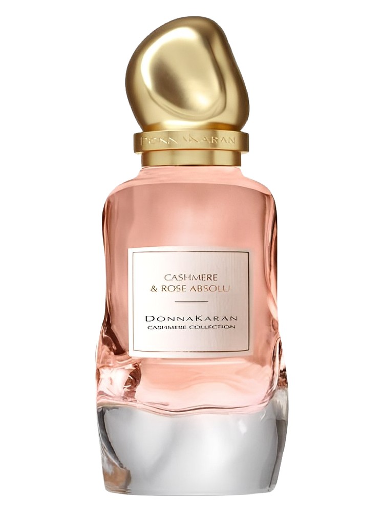 Cashmere & Rose Absolu Donna Karan perfume - a new fragrance for women ...