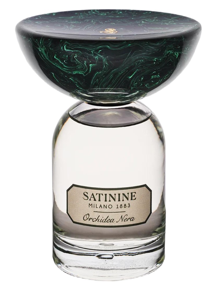 Orchidea Nera Satinine perfume - a new fragrance for women and men 2025