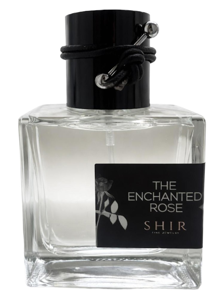 The Enchanted Rose SHIR perfume - a new fragrance for women and men 2025