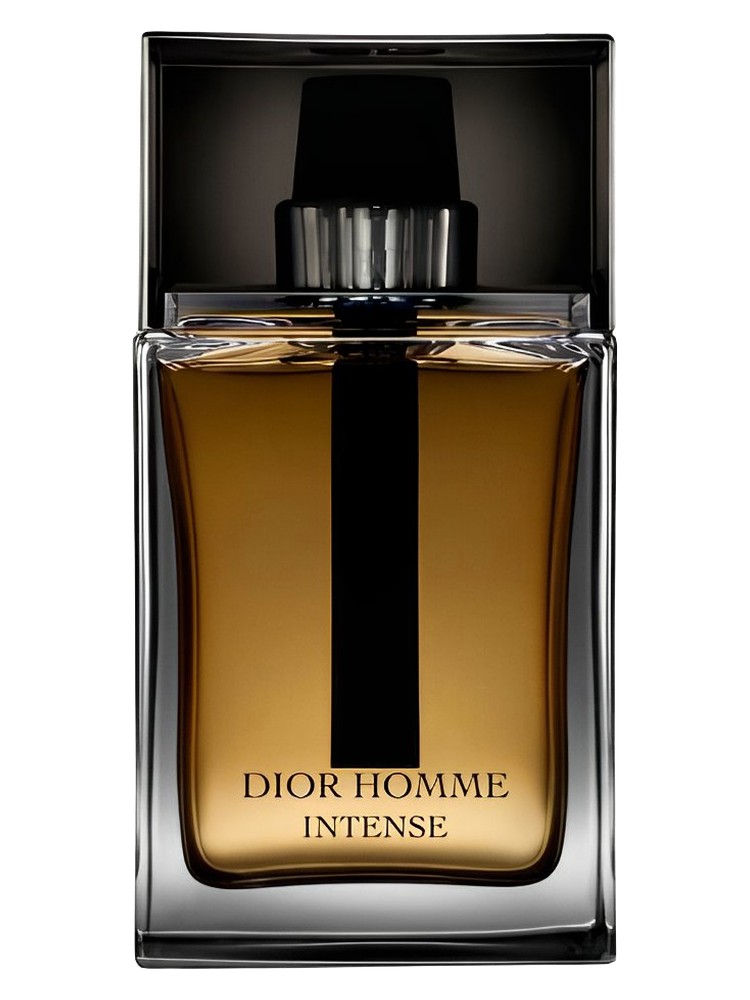 Dior Homme Intense 2011 Dior kolonya - erkekler için bir koku 2011