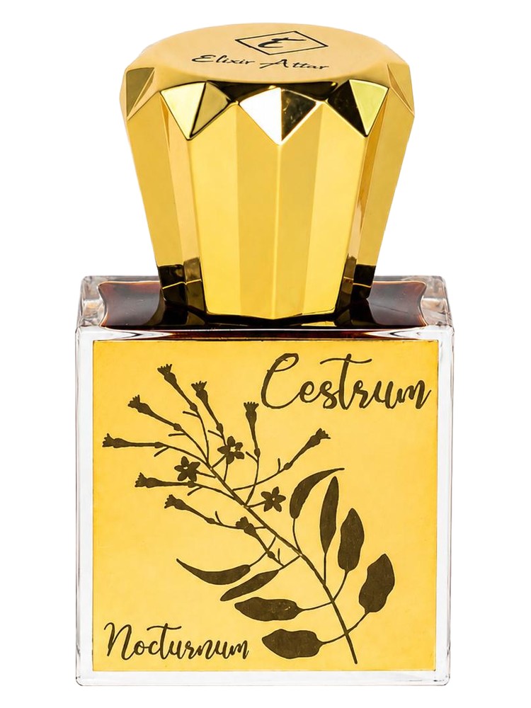 Cestrum Nocturnum Elixir Attar perfume - a new fragrance for women and ...