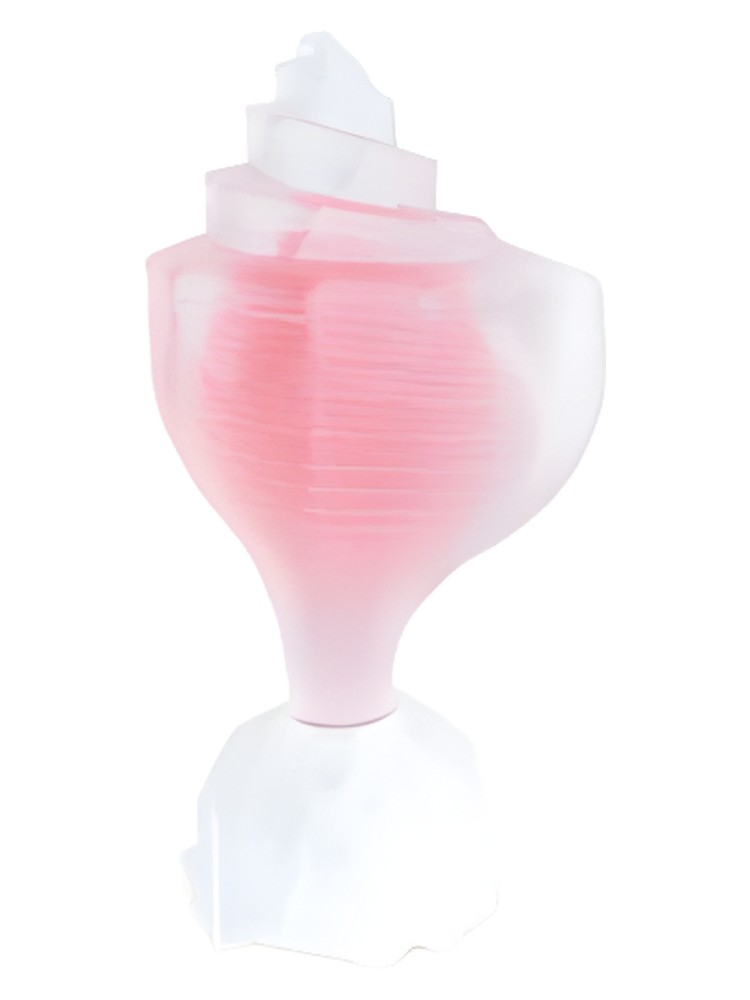 Pink Conch Seajewels perfume - a fragrance for women