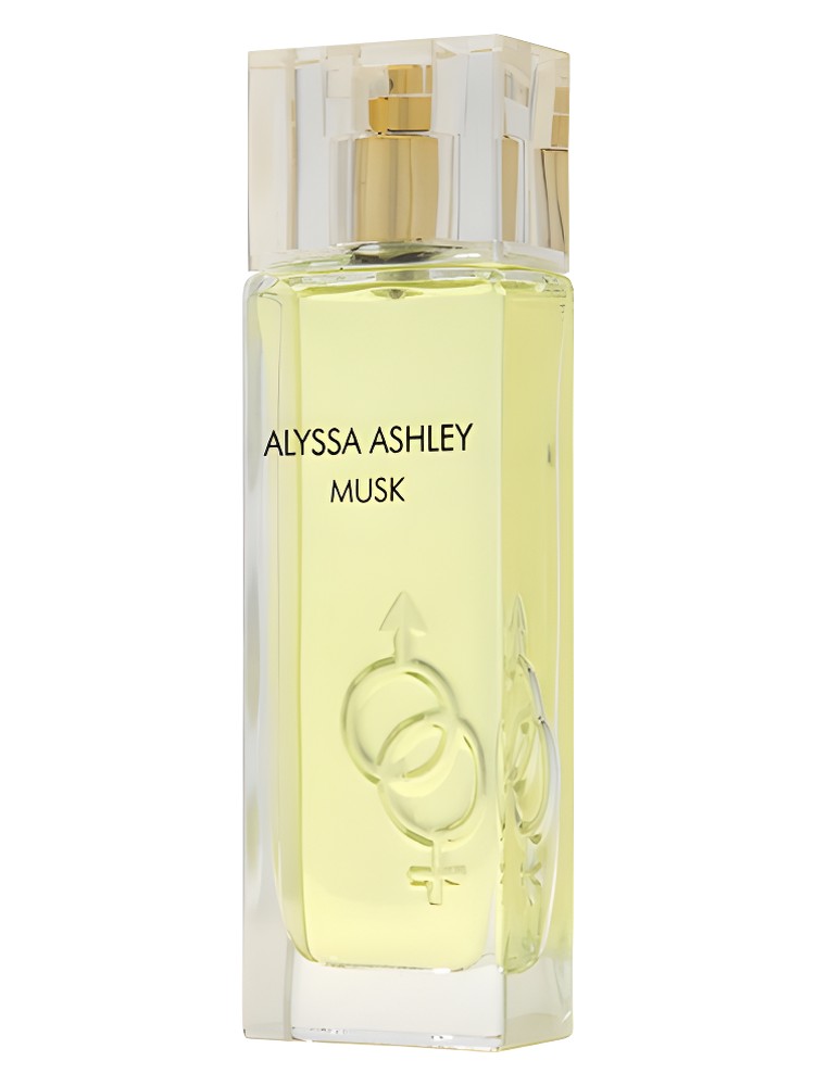 Musk Extreme Alyssa Ashley perfume - a fragrance for women 2009