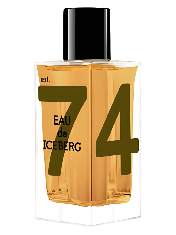 Eau de Iceberg Amber Iceberg cologne - a fragrance for men 2012