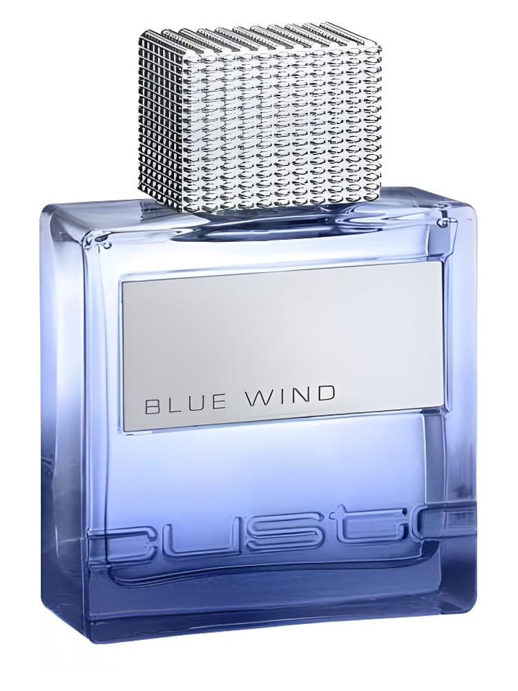 Blue Wind Custo Barcelona cologne - a fragrance for men 2012