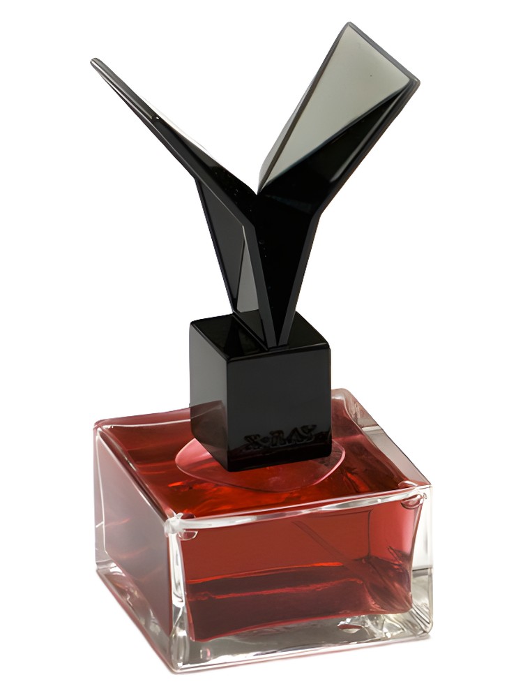Lacquered Rose X-Ray perfume - a fragrance for women and men 2012
