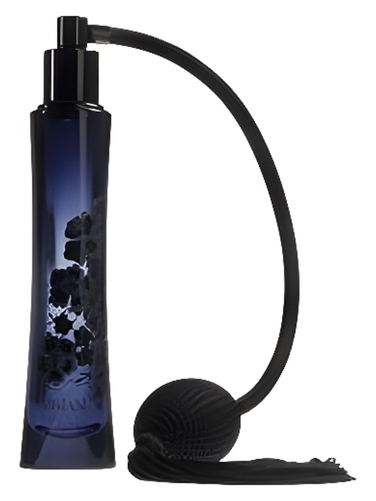 Armani Code Elixir Giorgio Armani perfume - a fragrance for women 2007