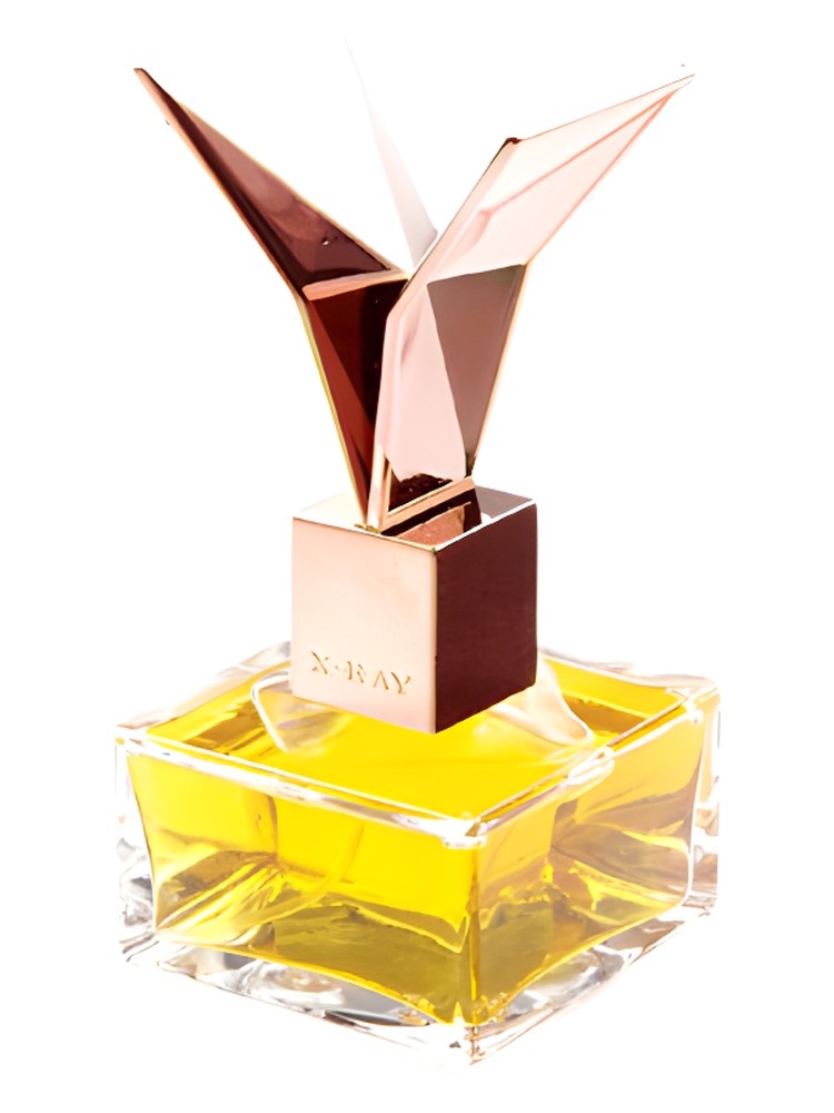 Tantrum X-Ray perfume - a fragrance for women and men 2013