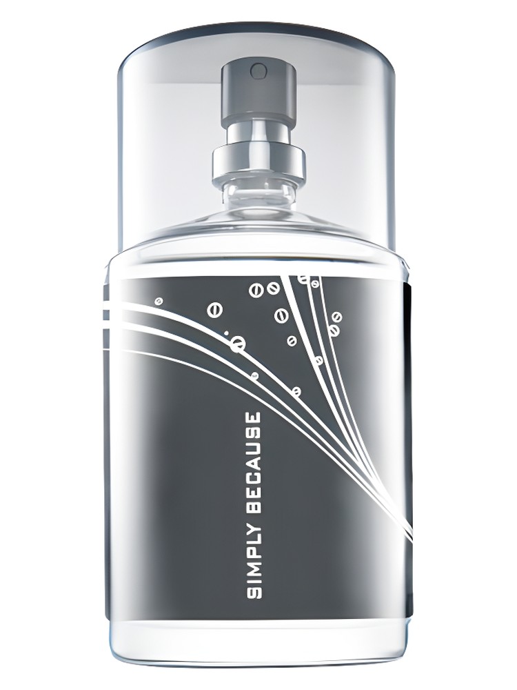 Simply Because for Him Avon cologne - a fragrance for men 2010