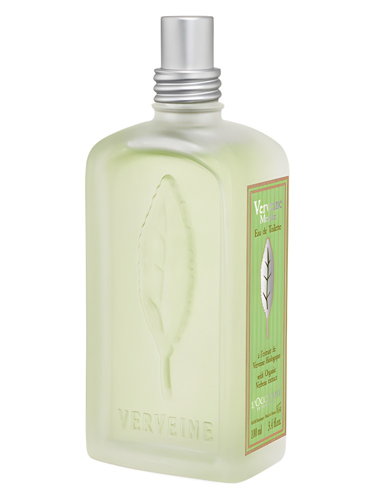 Verbena Mint L'Occitane en Provence perfume - a fragrance for women and ...