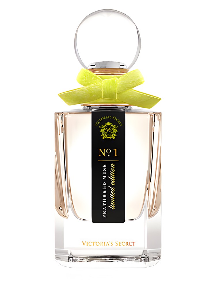 No1 Feathered Musk Victoria's Secret perfume - a fragrance for women 2013