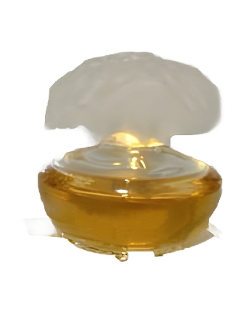 Orange Sahara Pupa perfume - a fragrance for women