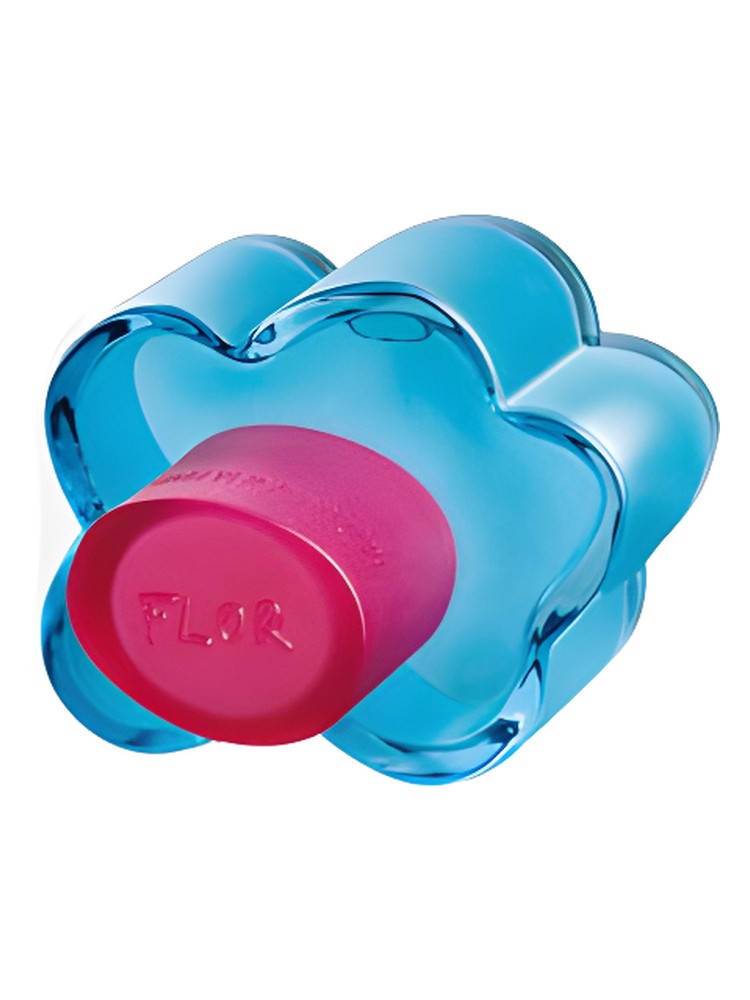 Hippy Flor Agatha Ruiz de la Prada perfume - a fragrance for women 2013